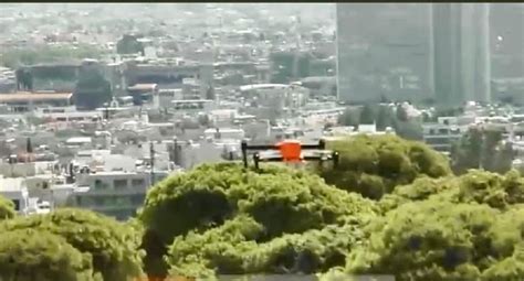 Ai Powered Startup Helps Protect Forests From Fire