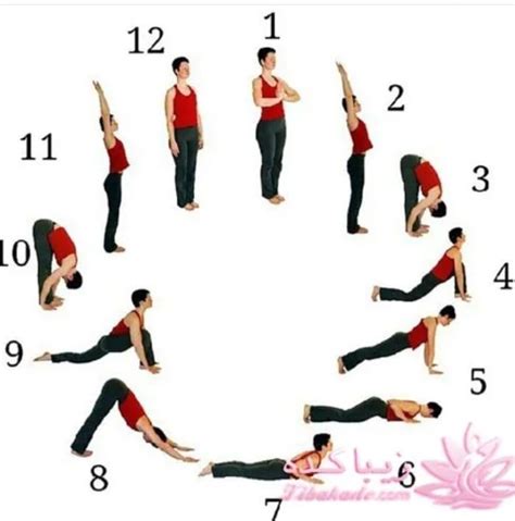 چگونه باید ورزش نماییم