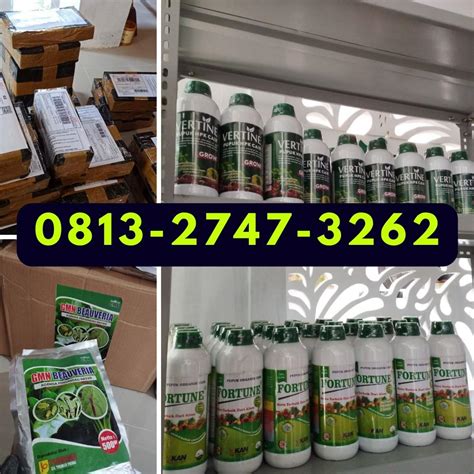Kebun Urban Pupuk Organik Tricoderma Anti Busuk Akar Batang Bisa Cod Fungisida Trichoderma