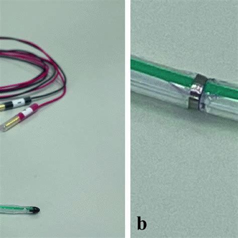 The Electrode Equipped Urinary Catheter For Recording Mep Waveform From