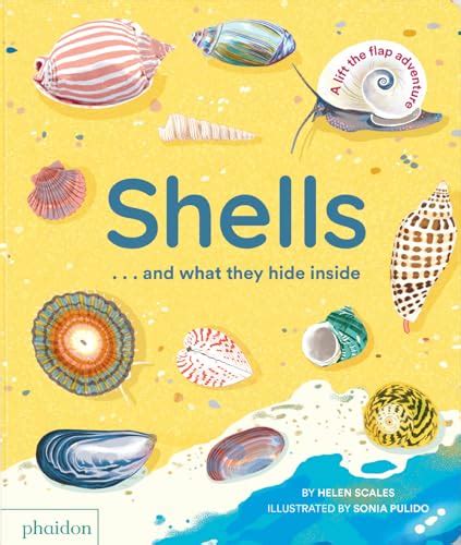 Shells And What They Hide Inside A Lift The Flap Adventure By Helen