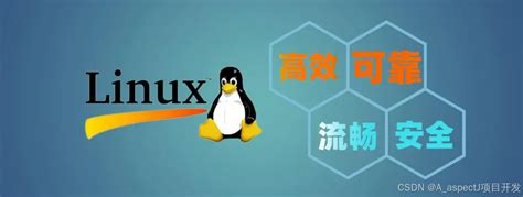 Linux中vim编辑器的应用实例 Csdn博客