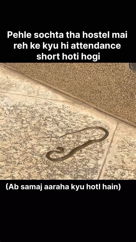 𝐒𝐀𝐔𝐑𝐀𝐁𝐇 𝐊𝐀𝐊𝐀𝐃𝐄 𝐏𝐀𝐓𝐈𝐋 Mbbs Saurya Cures • Instagram Photos And Videos