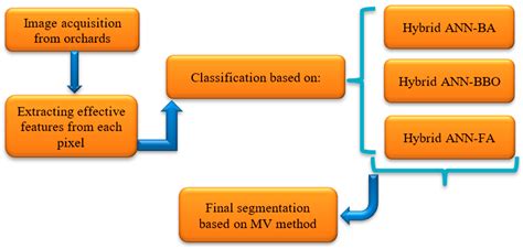 applied sciences free full text designing a fruit identification