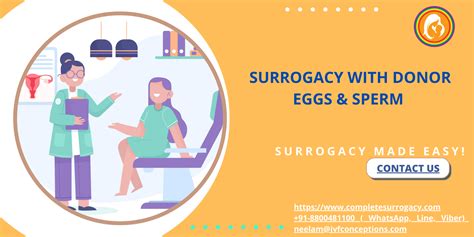 Surrogacy With Donor Eggs And Sperm An Informative Guide