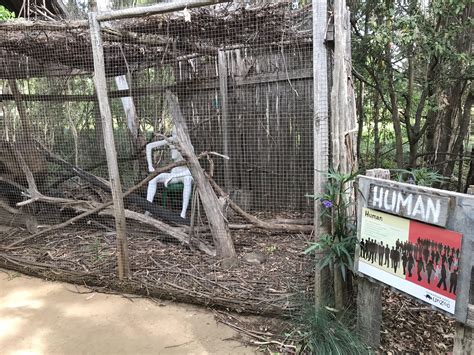 Finally A Comprehensive Zoo Rfunny