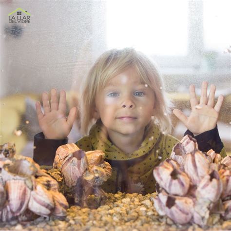 La Llar Del Vidre En Linkedin Lallardelvidre Vidrio Ventavidrio