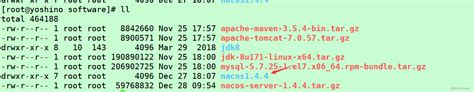 【java】centos7配置nacos开机自启动并后台运行（包含使用docker运行nacos） 基于centos7进行nacos的