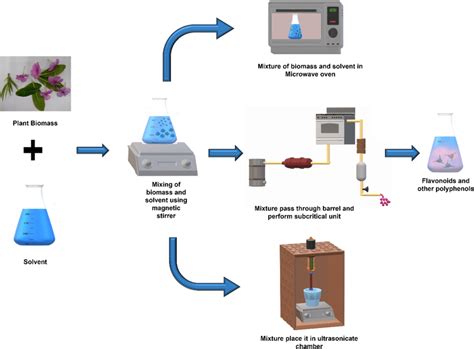 Conceptual Representation Of Flavonoids And Polyphenols Extraction From