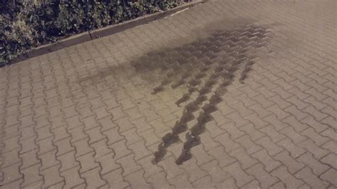 My Puddle In The Middle Of An Alley Rpisspuddles