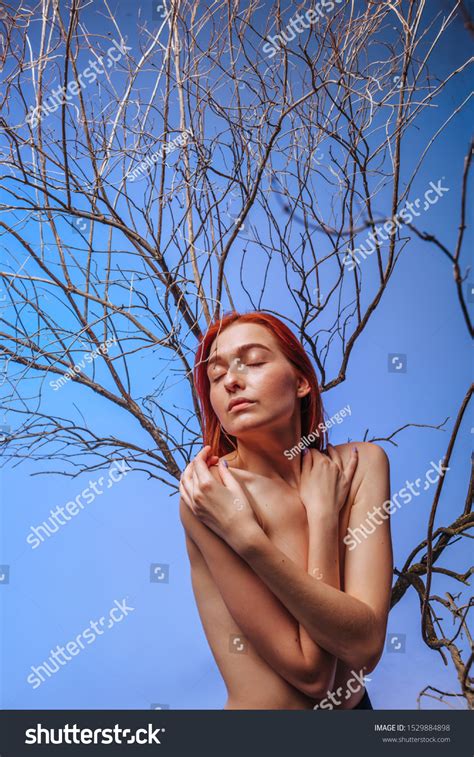 Naked Redhaired Girl Dry Branches On Stock Photo Edit Now