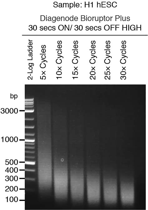 Cell Press Star Protocols Cell Press Star Protocols