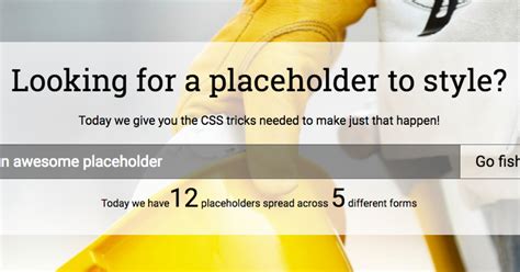 Styling Input Placeholders With CSS Webagility