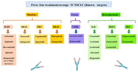 Updated Views In Targeted Therapy In The Patient With Non Small Cell Lung Cancer