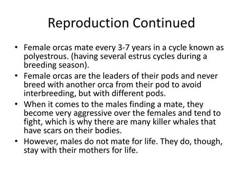 PPT Orca The Killer Whale PowerPoint Presentation Free Download ID 4691298