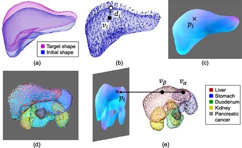 Figure 3 From Image To Graph Convolutional Network For 2d 3d Deformable Model Registration Of