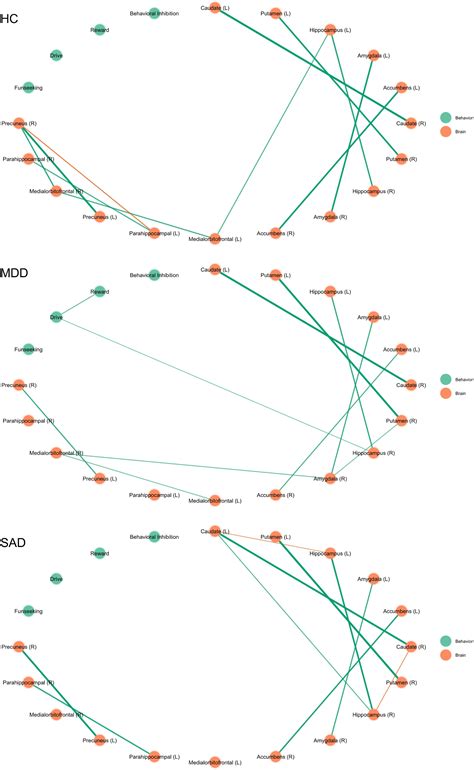 Network Analysis Of Behavioral Activationinhibition Systems And Brain Volume In Individuals
