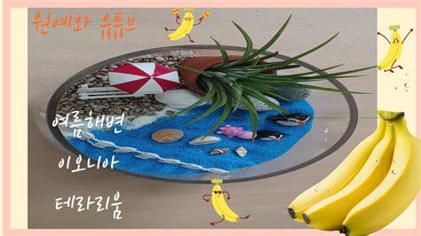 테라리움 만드는 방법 Youtube