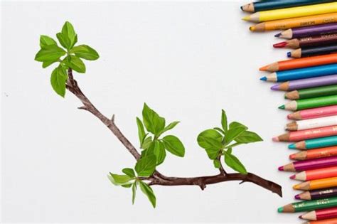 How To Draw A Tree Branch Easy And Simple Tutorial