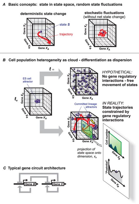 Fundamental Principles Of High Dimensional Dynamical Systems That May Download Scientific