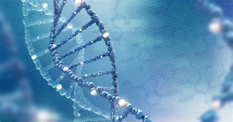 Understanding Diagnosing And Using Genetic Testing For Ear Malformation Sequencing