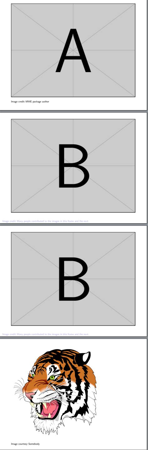How To Add Courtesy To Reference The Source In Beamer Slides Tex
