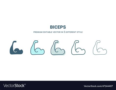 Biceps icon in 5 different style outline filled Vector Image