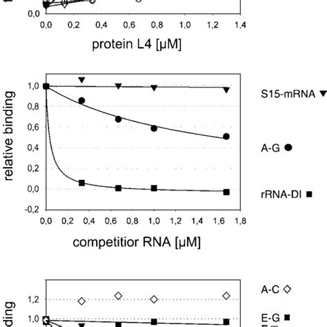 Nitrocellulose Filter Binding Assays Symbols Indicate Different Rna Download Scientific