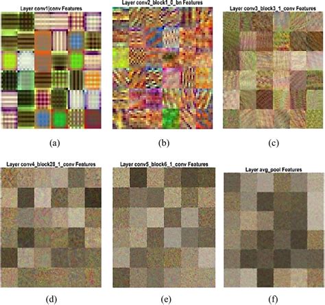 first 36 features learned by densenet 201 in different layers