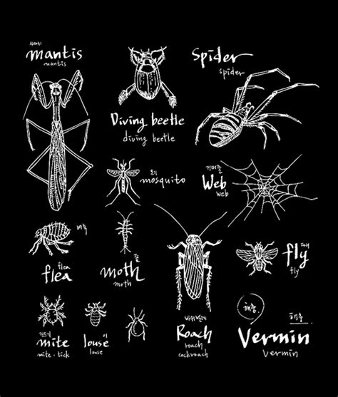 손으로 그린 곤충 스케치 유토이미지 상세페이지 베이직샵 21034872