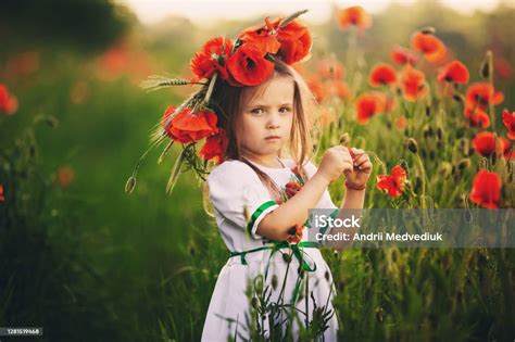 흰색 드레스를 입고 양귀비화환을 입은 아름다운 어린 소녀가 야생화 꽃다발을 모으고 있습니다 양귀비 밭에서 귀여운 아이 2 3 살에 대한 스톡 사진 및 기타 이미지 Istock