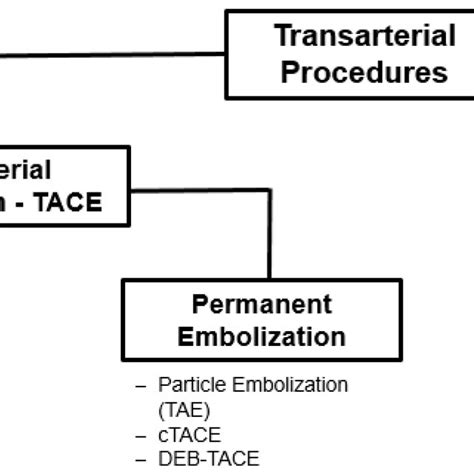Schematic Overview Of Transarterial Embolization Techniques Download Scientific Diagram