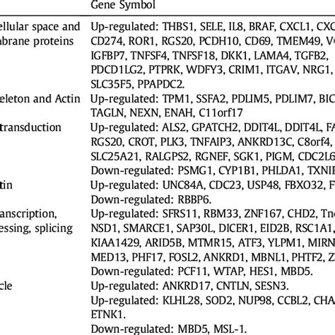 Selection Of Differentially Expressed Genes After Tf Binding To Huvecs