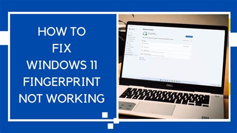 how to fix windows 11 fingerprint not working
