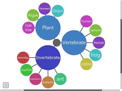 Create Spider Diagrams For Free With Our Online Tool Wiremystique