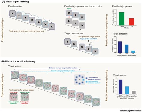 What To Expect Where And When How Statistical Learning Drives Visual Selection Trends In