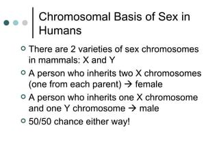 The Chromosomal Basis Of Inheritance PPT Genetics Science