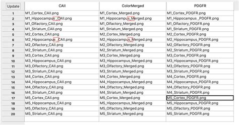 Unable To Export Complete Metadata Usage And Issues Imagesc Forum
