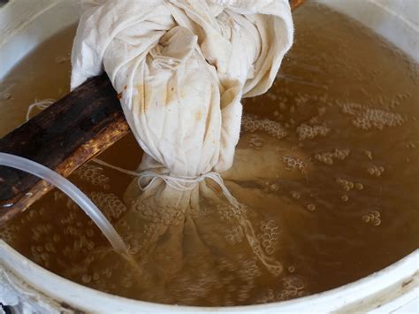 How To Make Soil Acidic Tips To Try