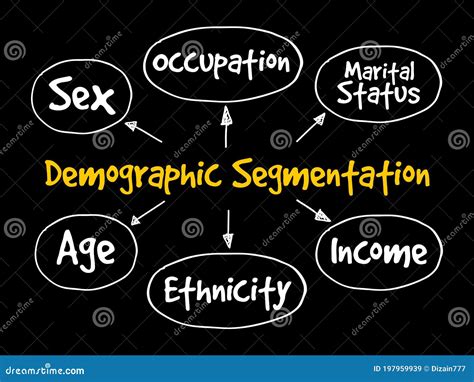 Demographic Segmentation Mind Map Stock Illustration Illustration Of Guide Occupation 197959939
