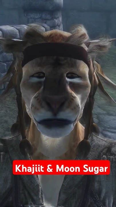 Oblivion Khajiit Beggar Gets A Gold Coin And Moon Sugar Dreams 💸🌙