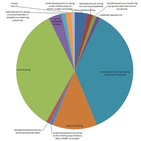 Gene Ontology Go Classification 3 Rd Level Go Terms Of Molecular Download Scientific