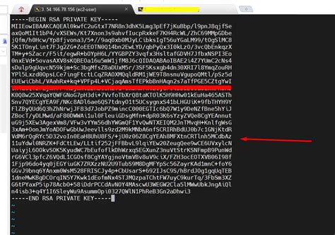 Setup Spring Boot Server Using Ansible Script In Amazon Linux 2