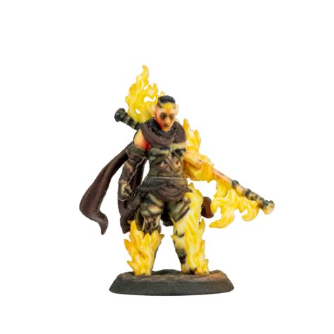 Custom Color Plastic Miniatures Hero Forge