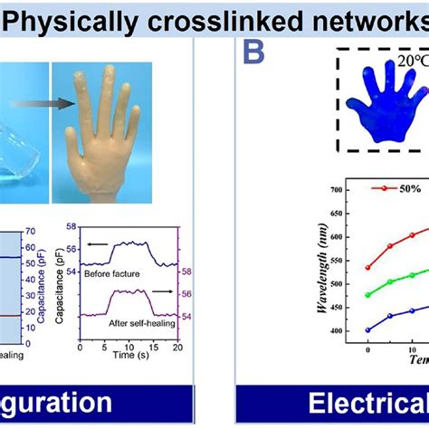 Physically Cross‐linked Network Design Of Self‐healing And Chromatic
