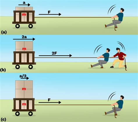 Newtons Second Law Of Motion Labster