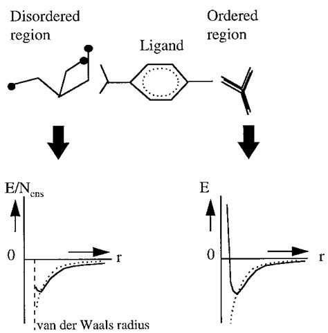 Schematic Depiction Of How Binding Site Atoms Exhibiting Different