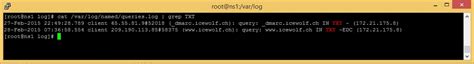 BIND Write DNS Querys Into Logfile Icewolf Blog