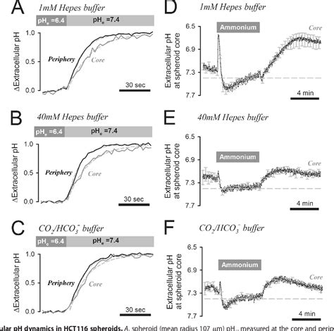 Figure 5 From Dual Role Of Co2 Hco3− Buffer In The Regulation Of Intracellular Ph Of Three
