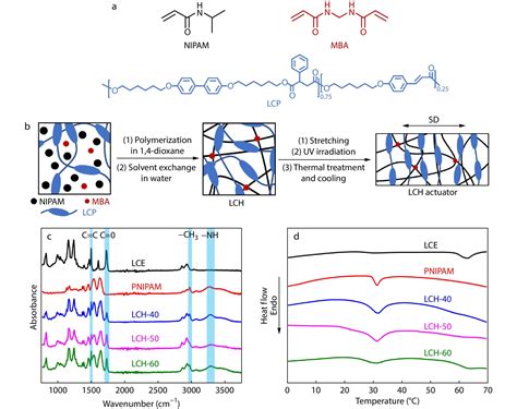 高分子科学（英文）